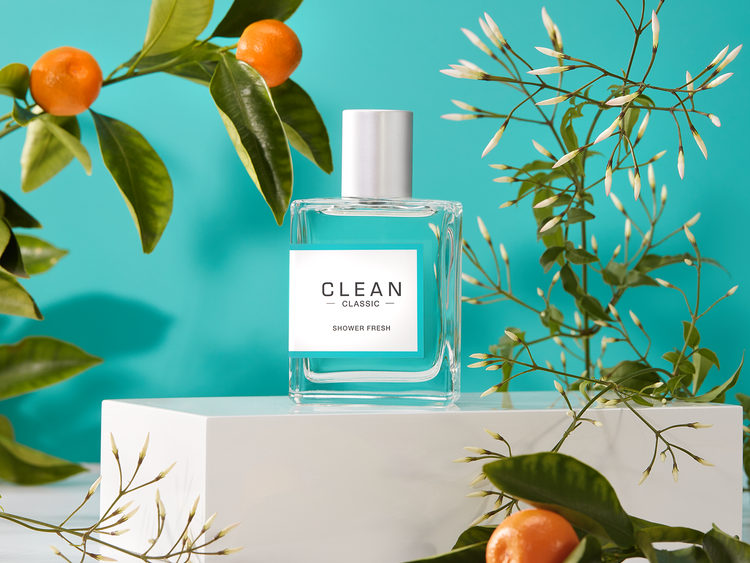 Gift Guide | Clean Fragrances, Soy Candles & More | Clean Beauty ...